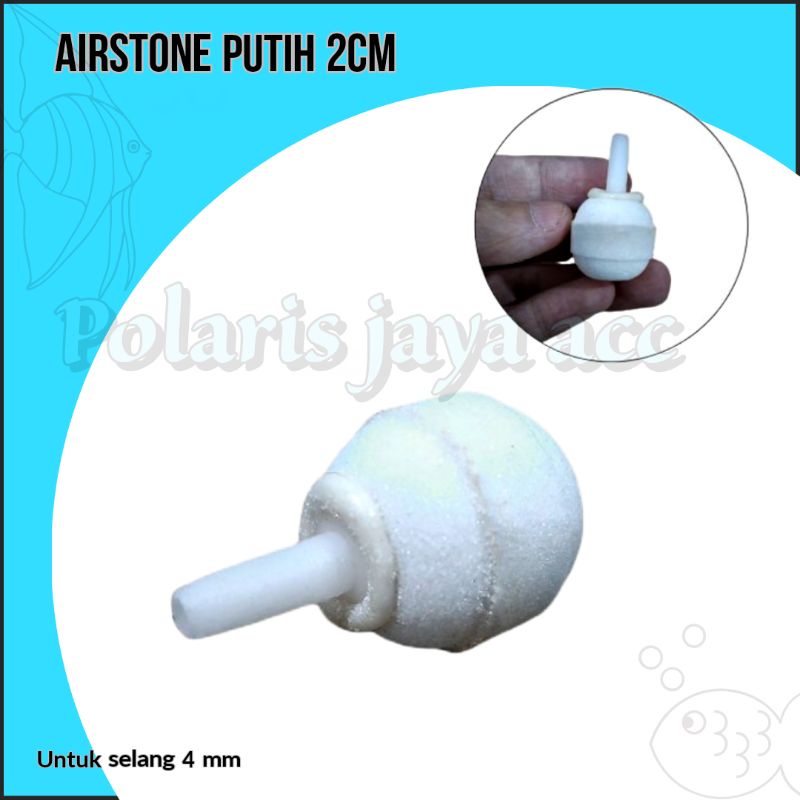 Jual BATU AIRSTONE GELEMBUNG UDARA AERATOR AQUARIUM KOLAM BULAT PUTIH ...