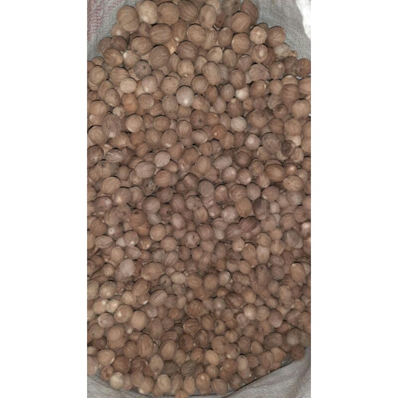 Jual PALA KUPAS BULAT ABCD 1KG | Shopee Indonesia
