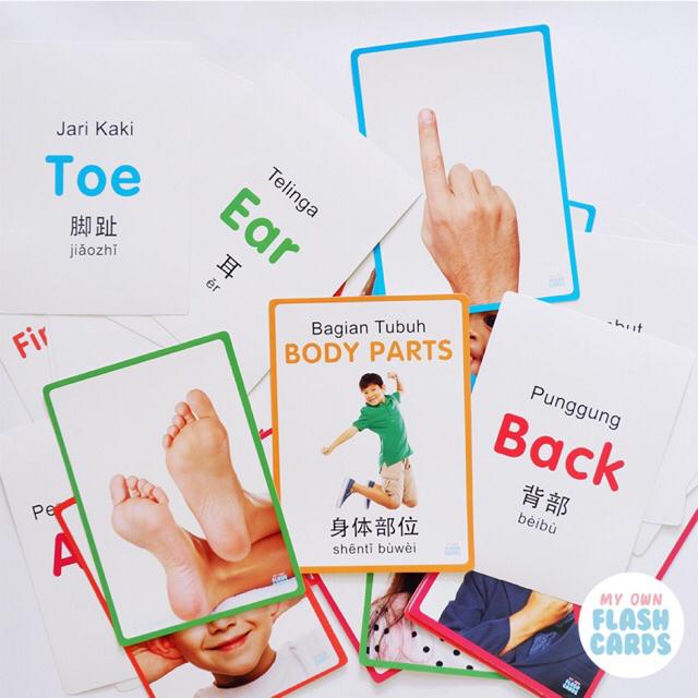 Jual My Own Flashcards 3 bahasa / Flash Card Animal, Body Parts, Kartu ...