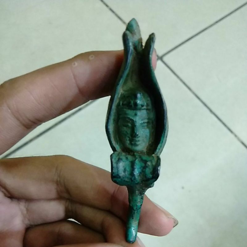 Jual Kembang dewa Kuningan sari | Shopee Indonesia