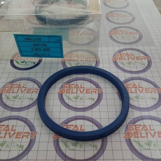 Jual UHS 100 Hallite Hydraulic & Pneumatic Seal 4607100 | Shopee Indonesia