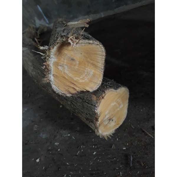 Jual bahan kayu kemuning emas serat emas | Shopee Indonesia