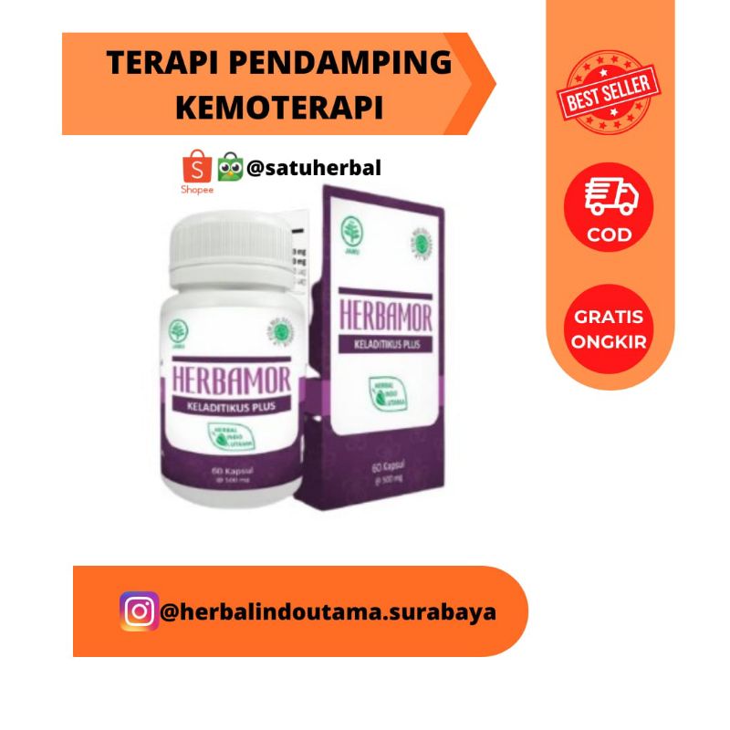 Jual HIU HERBAMOR Keladi Tikus Plus - HERBAL INDO UTAMA Herbal Untuk ...