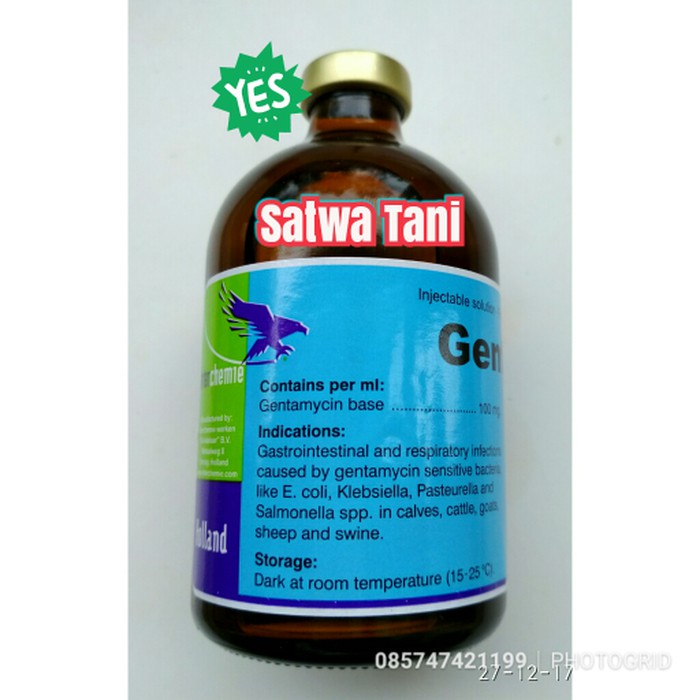 Jual GENTA-100 (Obati Infeksi Pernafasan, Pencernaan dan Perkencingan ...