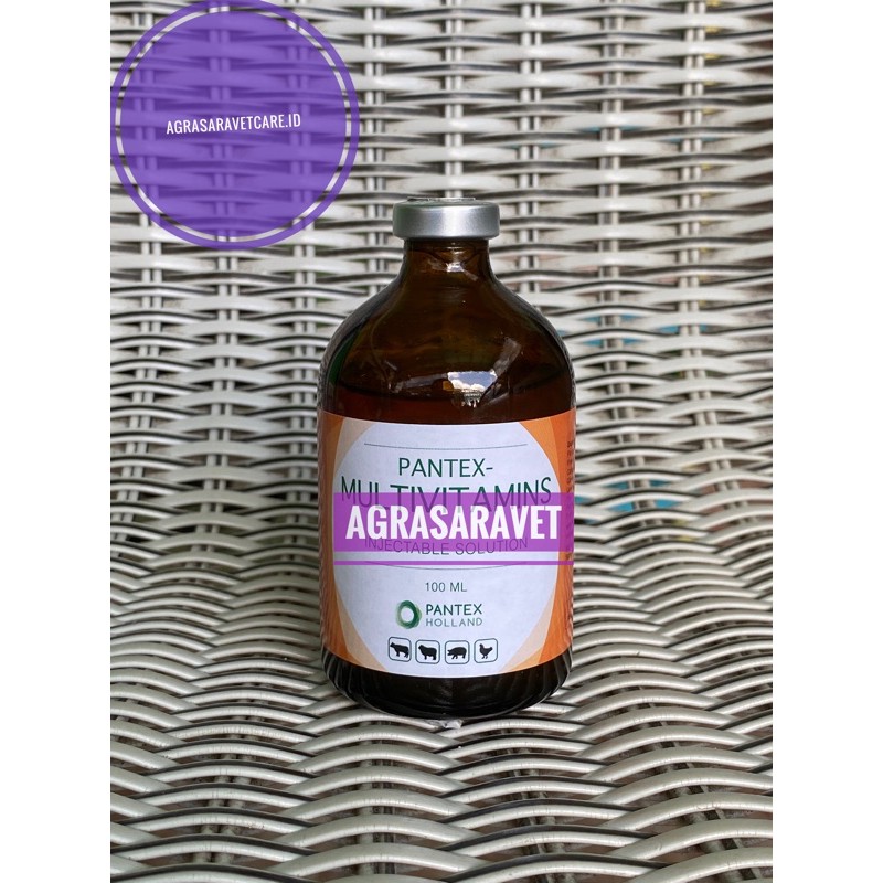 Jual Pantex multivitamin holland injeksi 100 ml | Shopee Indonesia