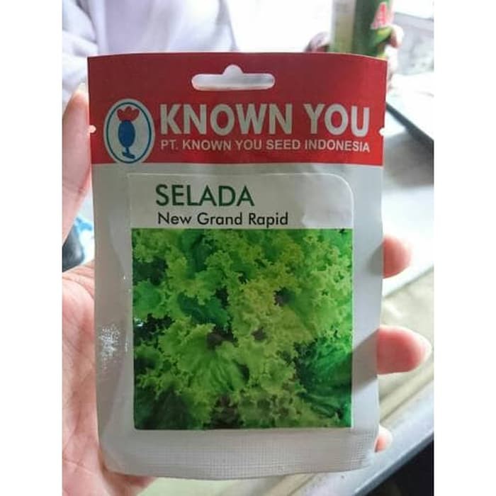 Jual Benih Selada New Grand Rapid Known You Seed SP (5 gram) | Shopee Indonesia