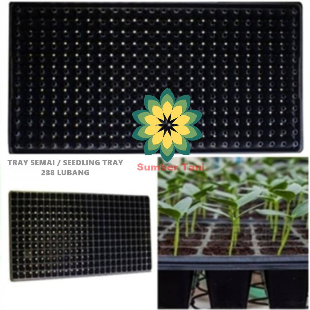 Jual Media Untuk Tanam Tray Semai 288 Lubang | Shopee Indonesia