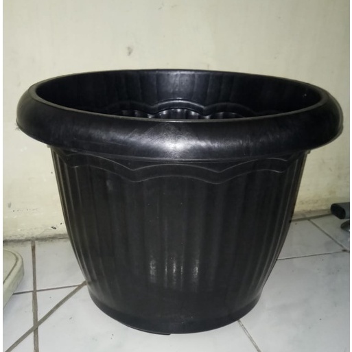 Jual Pot Belimbing Bunga Hitam Uk 45 kilat tebal | Shopee Indonesia