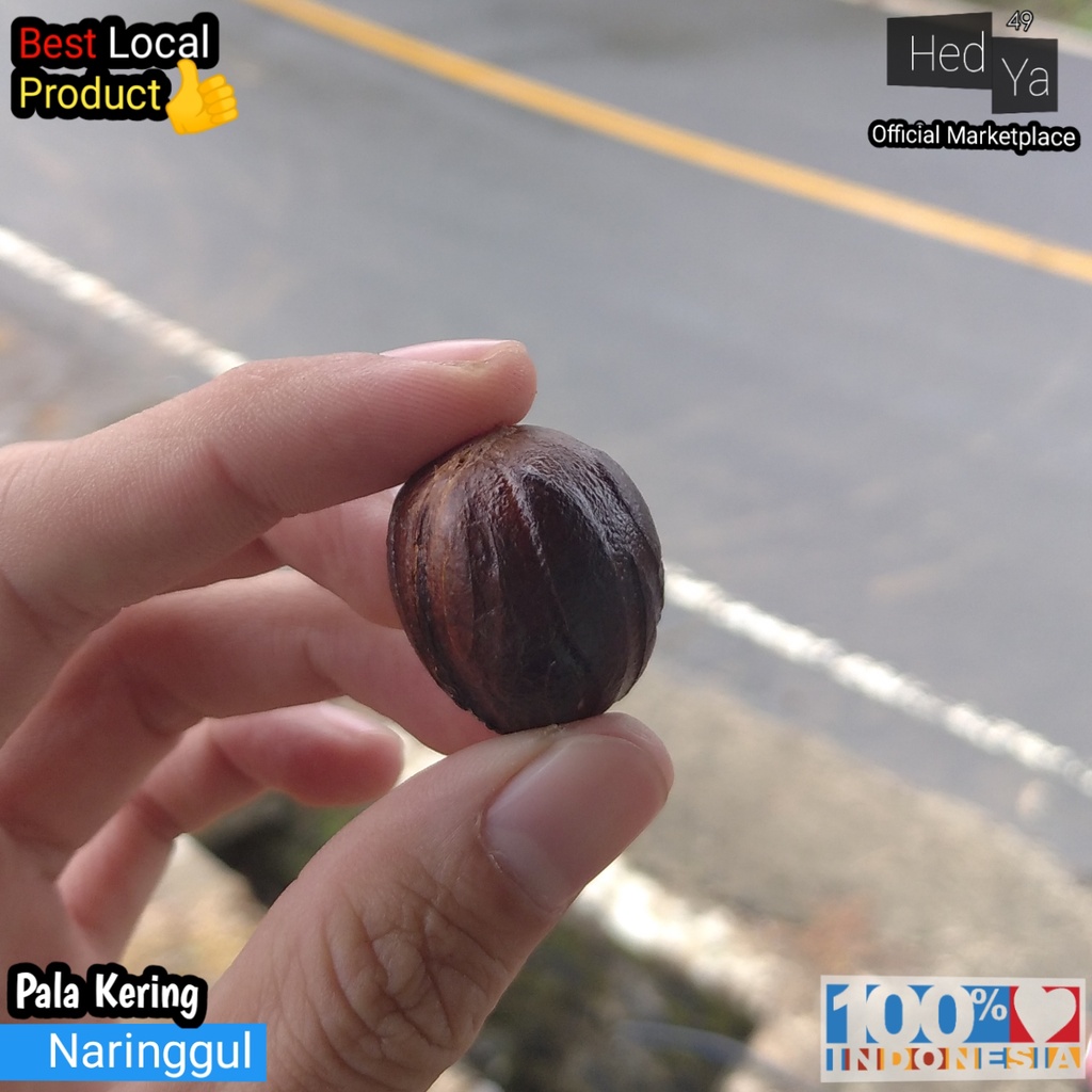 Jual Biji Pala Jual Satuan Per Biji Pala Kering Best Quality Ekspor ...