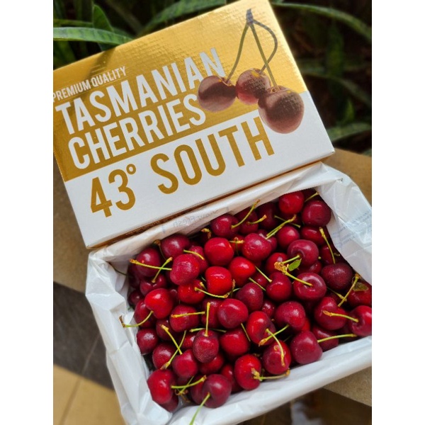Jual Cherry tazmania 1box 2kg | Shopee Indonesia