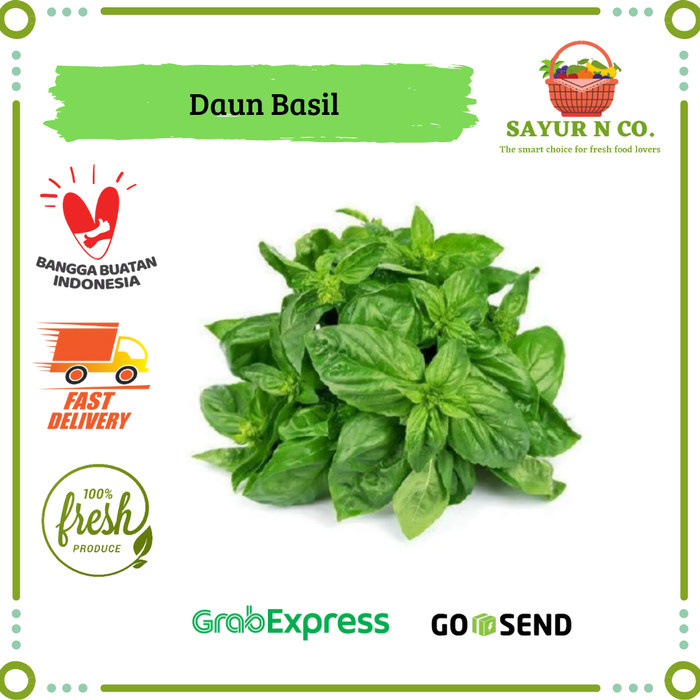Jual Daun Basil / Basil Leaves | Sayur N Co Bekasi | Shopee Indonesia