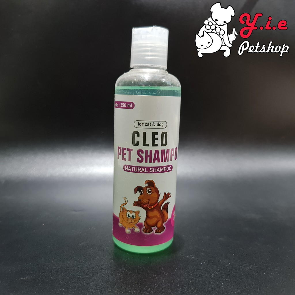 Jual CLEO Shampoo 250 ml | Shopee Indonesia