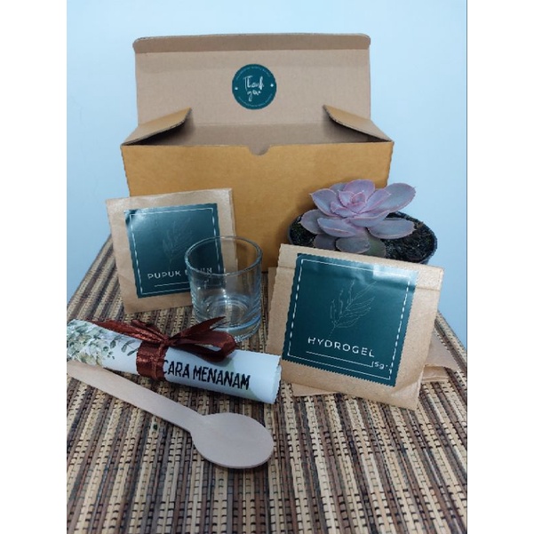 Jual Hampers Planting Kit - Tanaman Hias Hidrogel | Shopee Indonesia