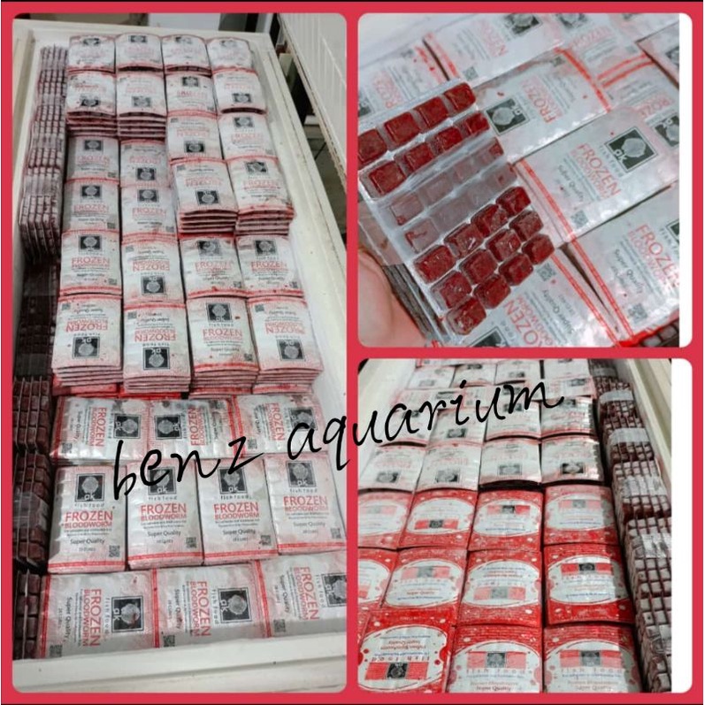 Jual Cacing Beku Bloodworm 10 Tray 1000 Gr | Shopee Indonesia