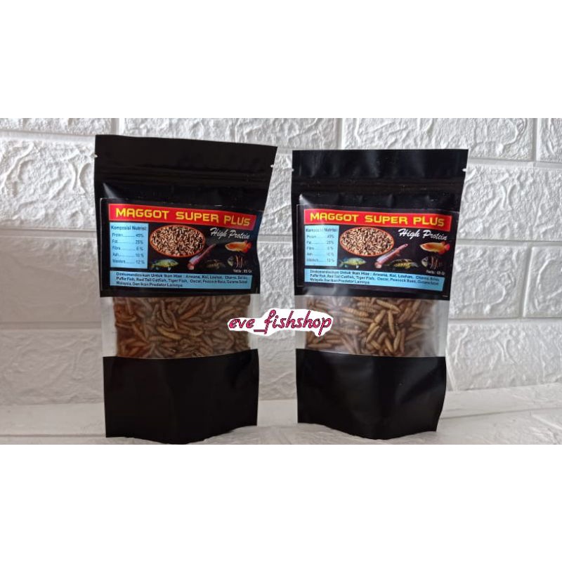 Jual Maggot Super Plus High Protein Pakan Ikan 50 gram | Shopee Indonesia
