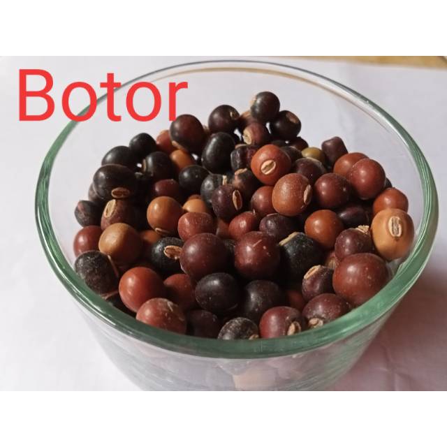 Jual Botor | Shopee Indonesia