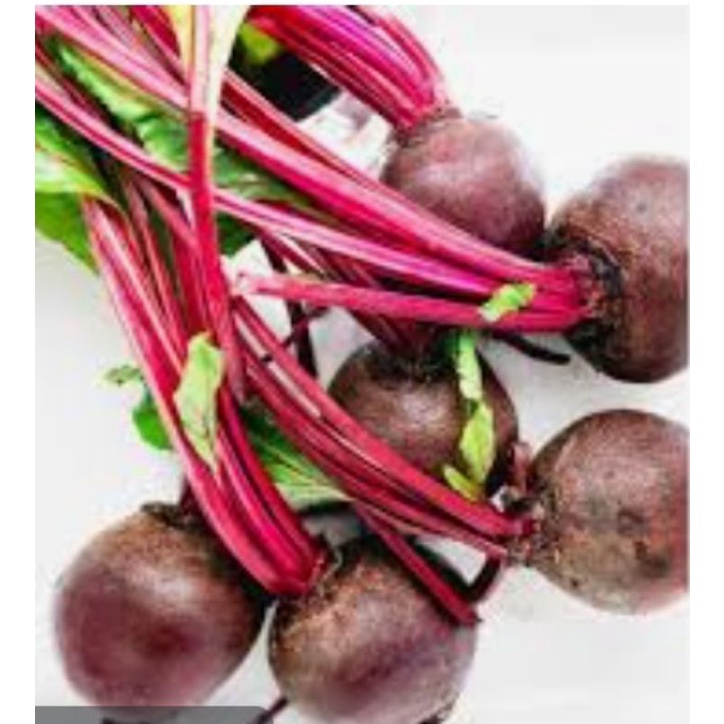 Jual Buah Beet / bit | Shopee Indonesia
