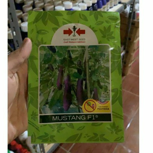 Jual Bibit dan benih terong ungu mustang F1 1100 biji - panah merah | Shopee Indonesia