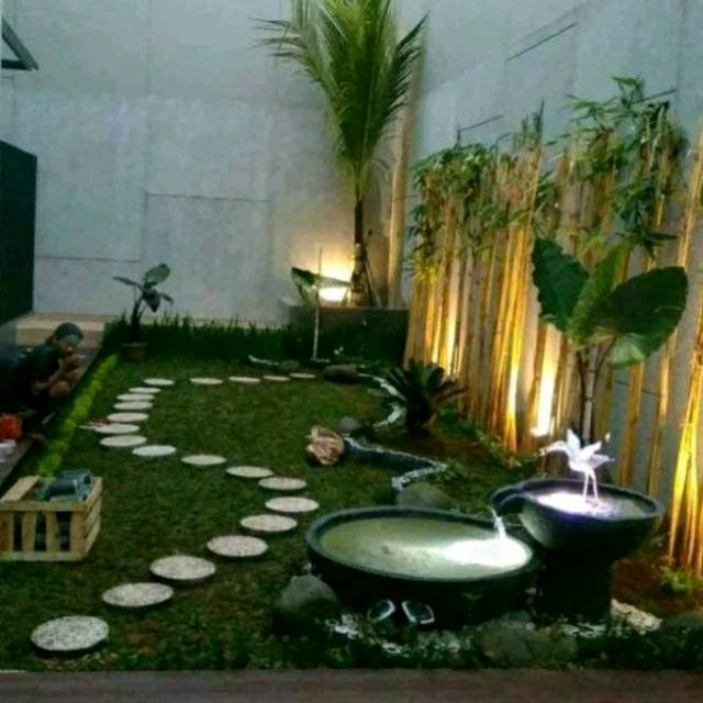 Jual Tanaman Pagar Bambu Kuning Untuk Hiasan Taman Dengan Tinggi 2 ...