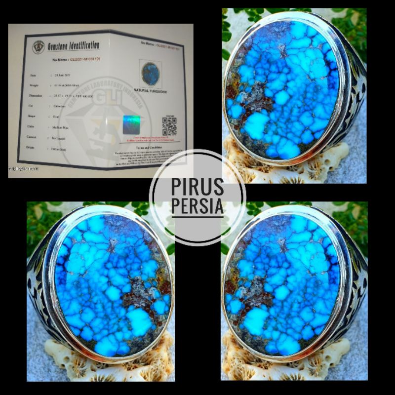 Jual NATURAL PIRUS PERSIA KUNO | Shopee Indonesia