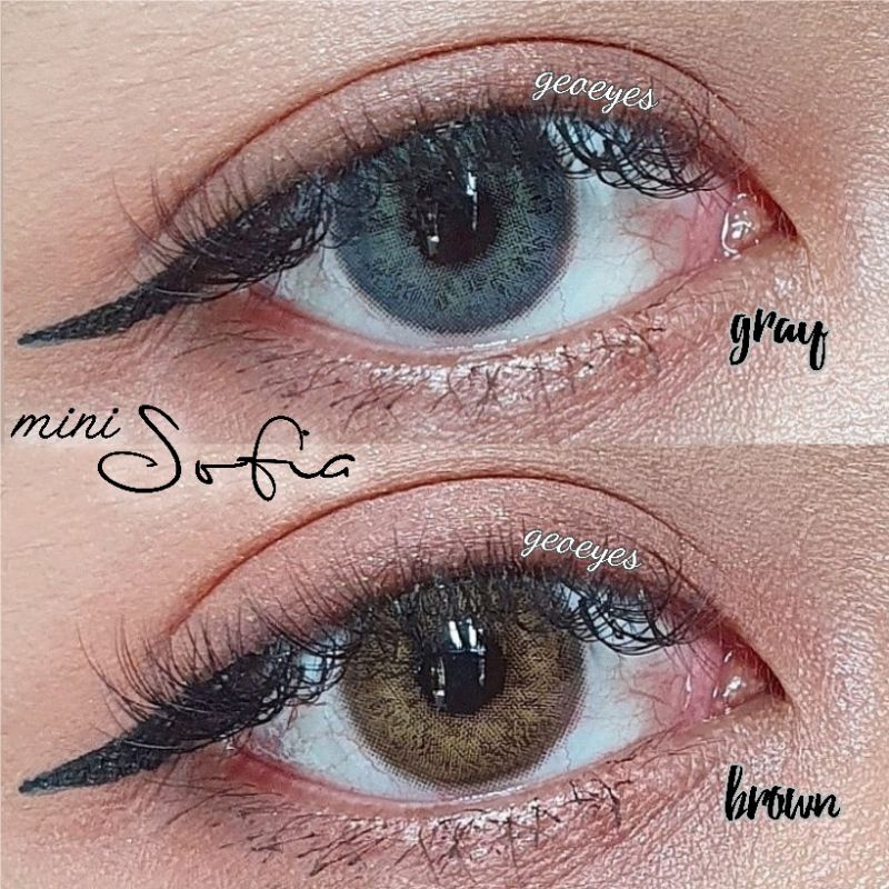 Jual Softlens Kitty Kawaii Mini Sofia - Soflen Dupe Bollycon DNA ...