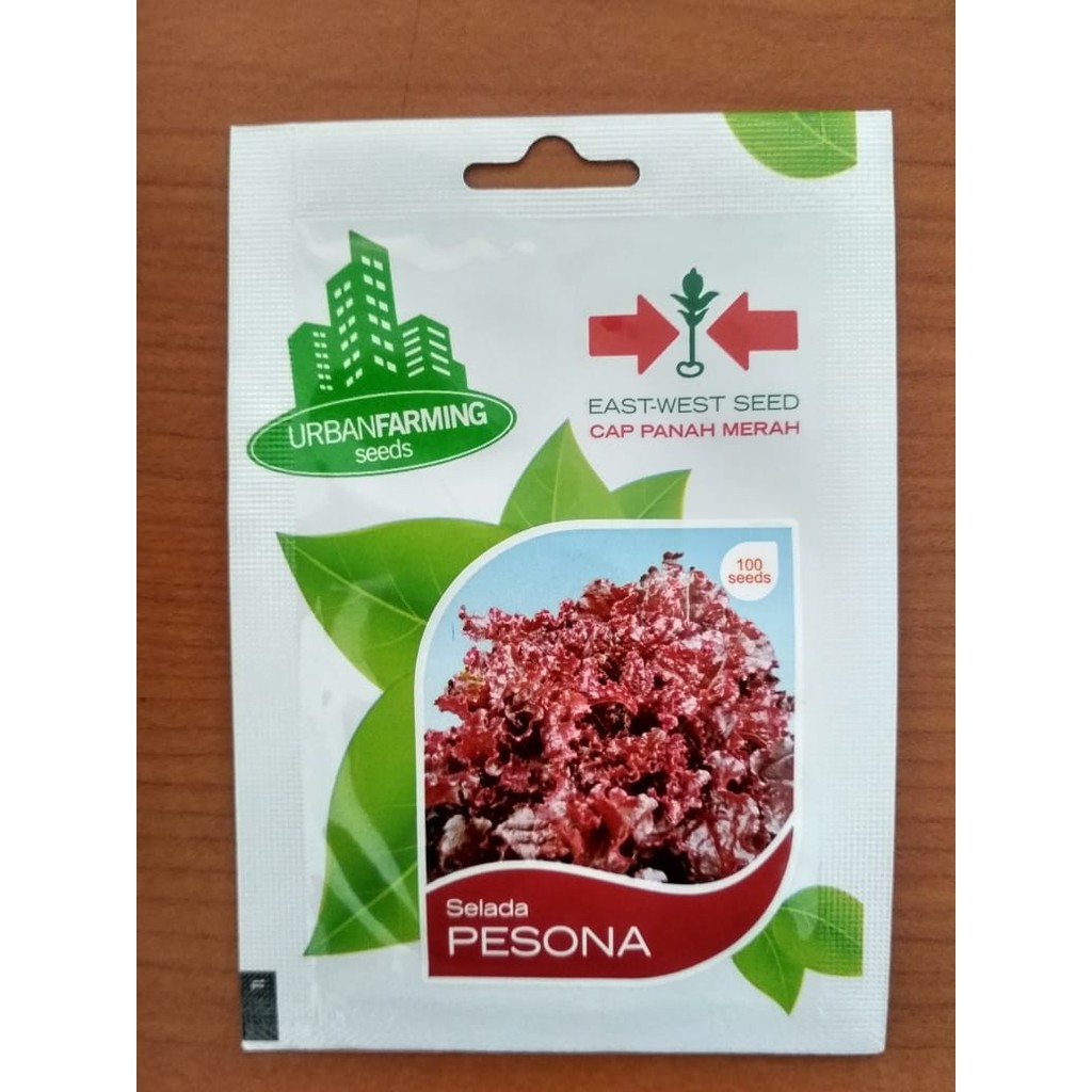 Jual Benih Selada Merah PESONA 10gr (Cap Panah Merah) | Shopee Indonesia