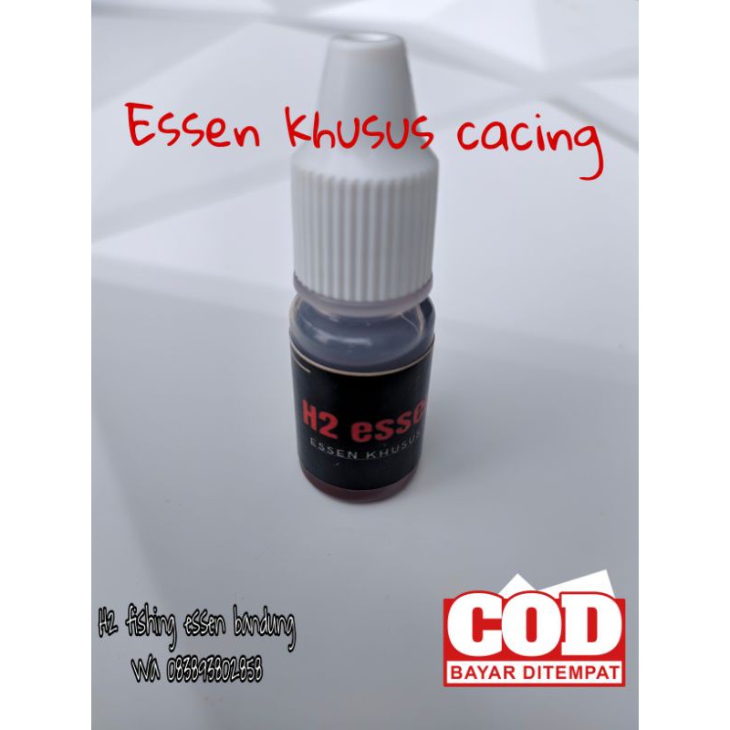 Jual Essen cacing nila/mujaer | Shopee Indonesia