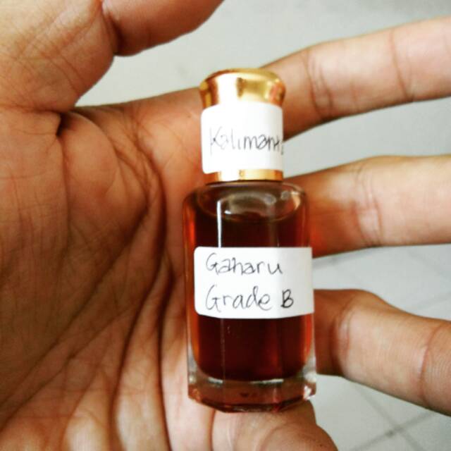 Jual Minyak Gaharu Aquilaria Agarwood Kalimantan Grade B (12 ml ...