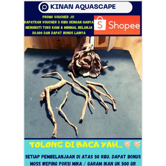 Jual AKAR KAYU AQUASCAPE RANTING KAYU AQUASCAPE | Shopee Indonesia
