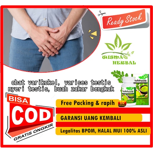 Jual Wismaherbal - obat varikokel, varises testis, nyeri testis, buah ...