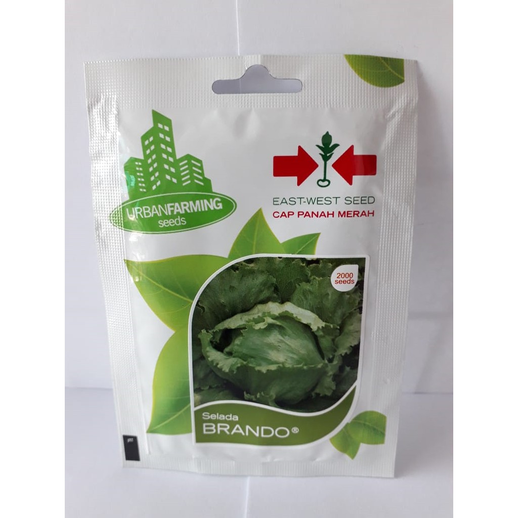 Jual Benih Selada - Brando F1 CPM | Shopee Indonesia