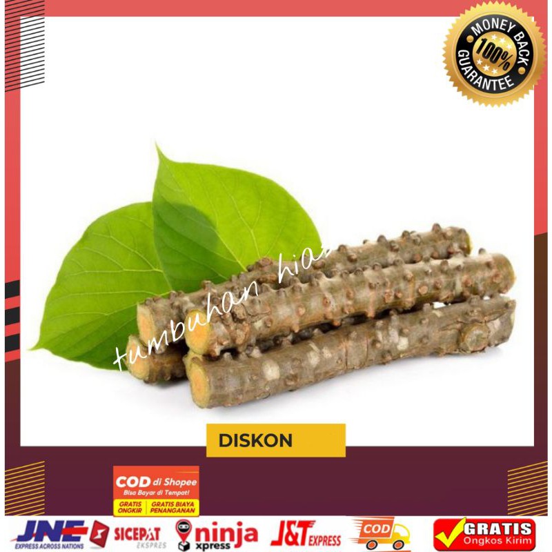 Jual Batrawali/Akar Batrawali Botrowali/Batang Bartawali Botrowali ...