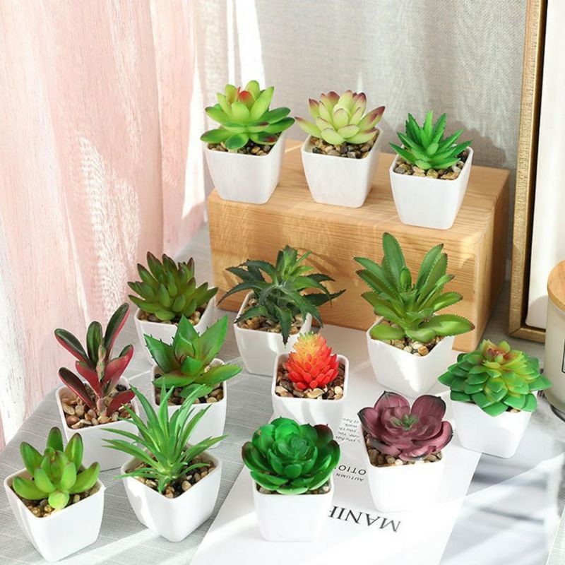 Jual KAKTUS MINI BATU kaktus artificial sekulen hias mini artificial ...