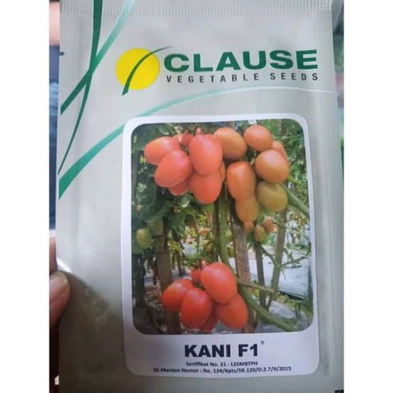 Jual TOMAT KANI F1/ 10 GRAM-CLAUSE | Shopee Indonesia