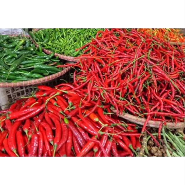 Jual Paket Hemat Cabe Cabe Merah Hijau Dan Rawit Shopee Indonesia
