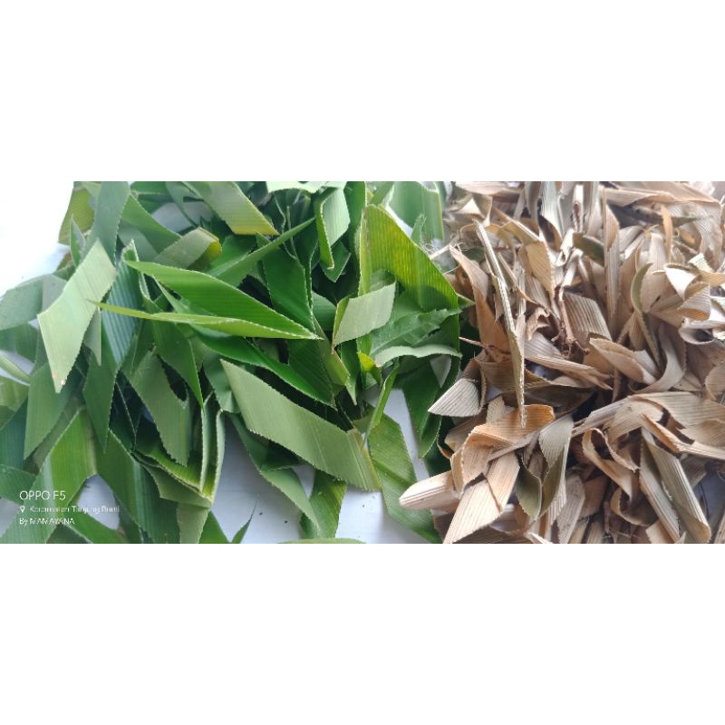 Jual DAUN PANDAN WANGI SEGAR/KERING, 25 GRAM(TEH DAUN PANDAN ORGANIK ...