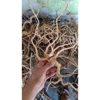 Jual akar rasamala aquascape Harga Terbaik & Termurah Agustus 2024 ...