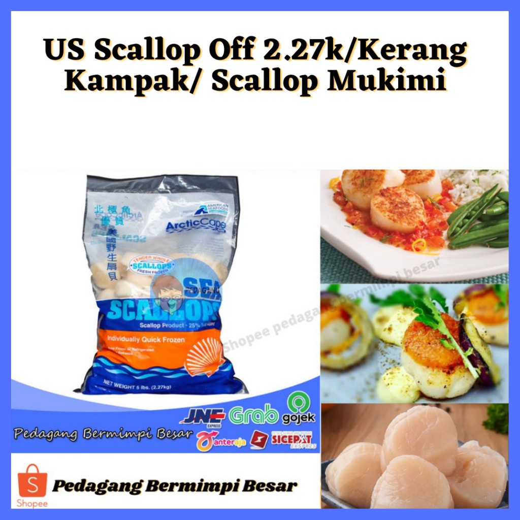 Jual US Scallop Shell Off 2.27kg 10/20 | Kerang Kampak | Scallop ...