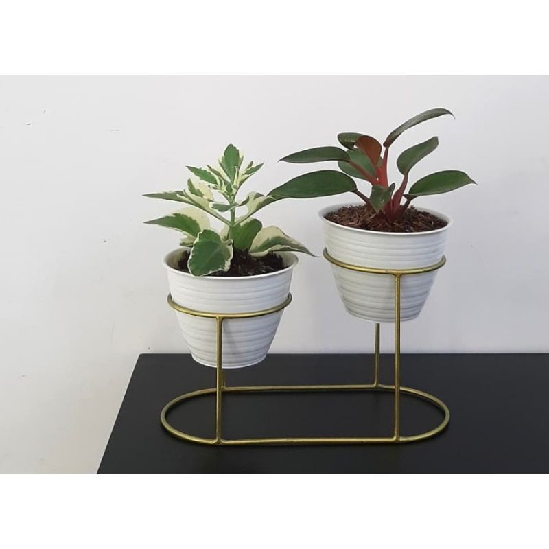 Jual vas bunga meja /vas bunga minimalis /vas bunga kembar | Shopee ...