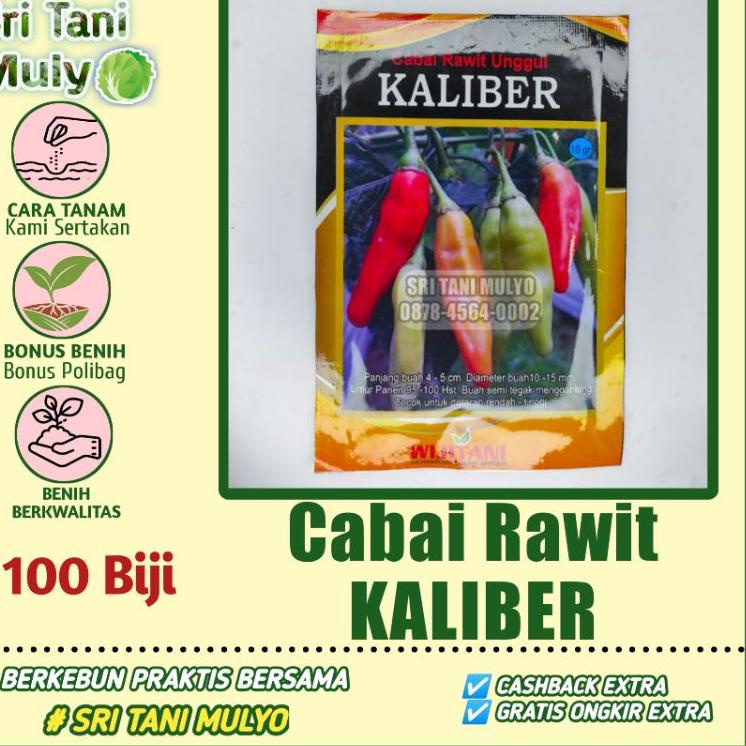 Jual Ayo kemari! Benih Cabai Rawit Unggul Terbaru KALIBER WIJITANI ...