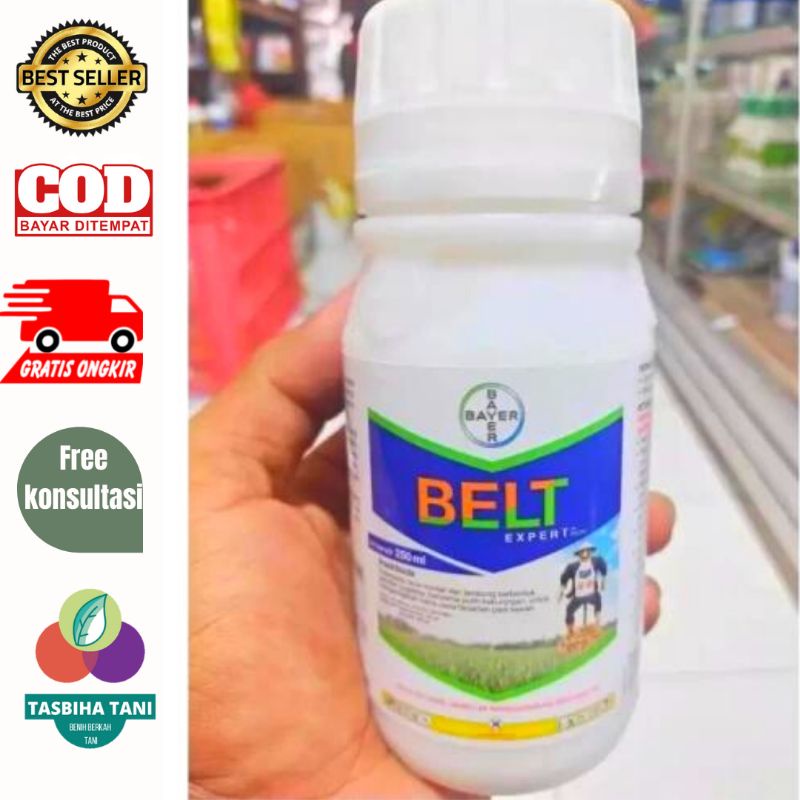 Jual BELT EXPERT BAYER 250 ML. INSEKTISIDA PENGGEREK BATANG PADI | Obat ...