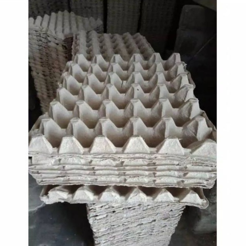 Jual 50 lembar tray telur tempat telur ayam bebek second | Shopee Indonesia