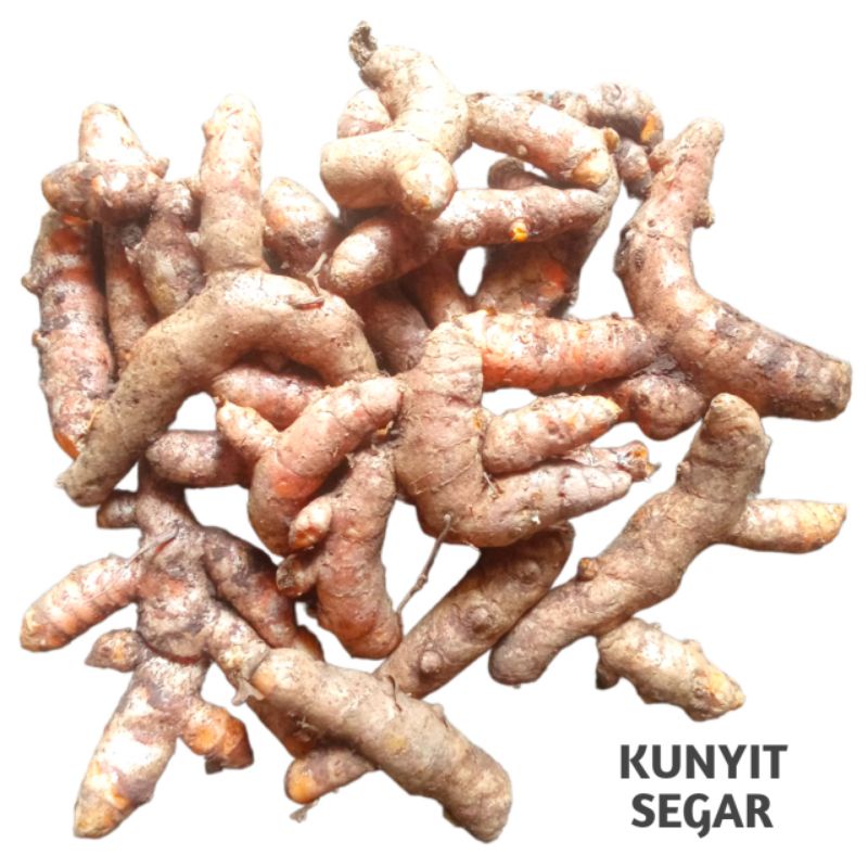 Jual Kunyit Segar Kunir 1 kg | Shopee Indonesia