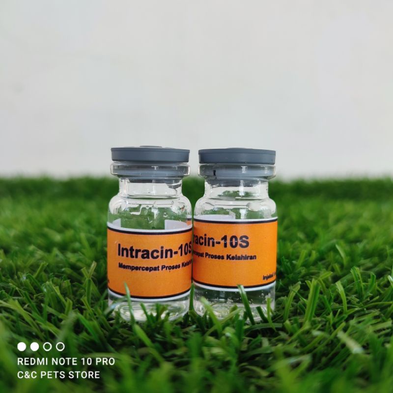 Jual Intracin 10S Injeksi 5 ml (Oxytocin) | Shopee Indonesia