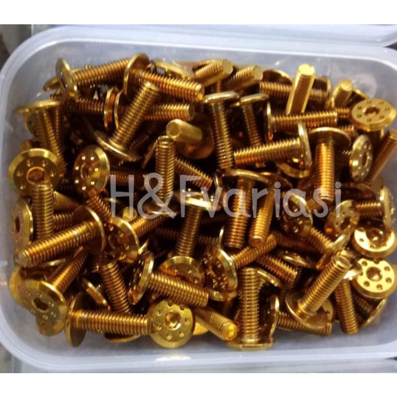 Jual Baut M6x20 Drat 10*2cm Model titik gepeng Probolt Original Stainless Thailand | Shopee ...