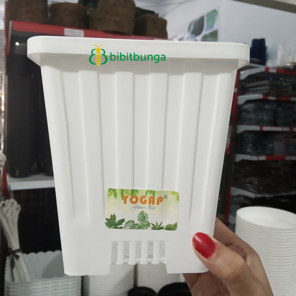 Jual Pot Bunga Tinggi Yogap Kotak 12 Putih Tanaman Hias Persegi Segi ...