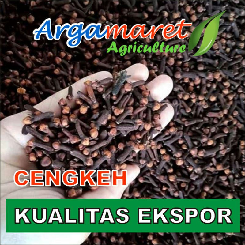Jual Cengkeh Kering Kualitas Ekspor 1 Kg | Shopee Indonesia