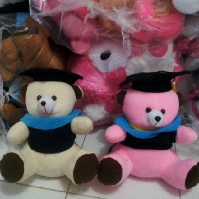 Jual Tedy bear toga | Shopee Indonesia
