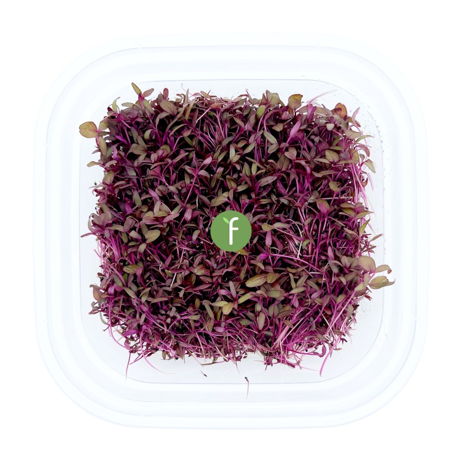 Jual Sayur Bayam Merah Mikro | Red Spinach Fresh Microgreens | Shopee ...