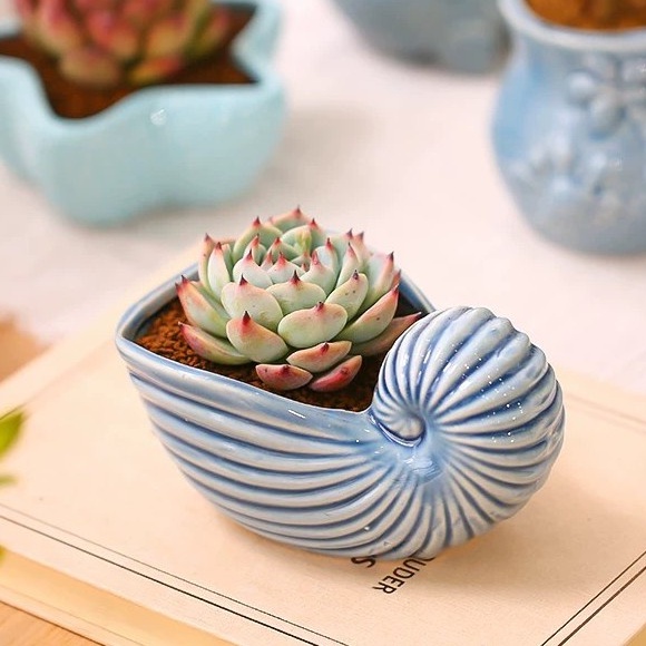 Jual Pot Bunga Bahan Keramik Warna Biru | Shopee Indonesia